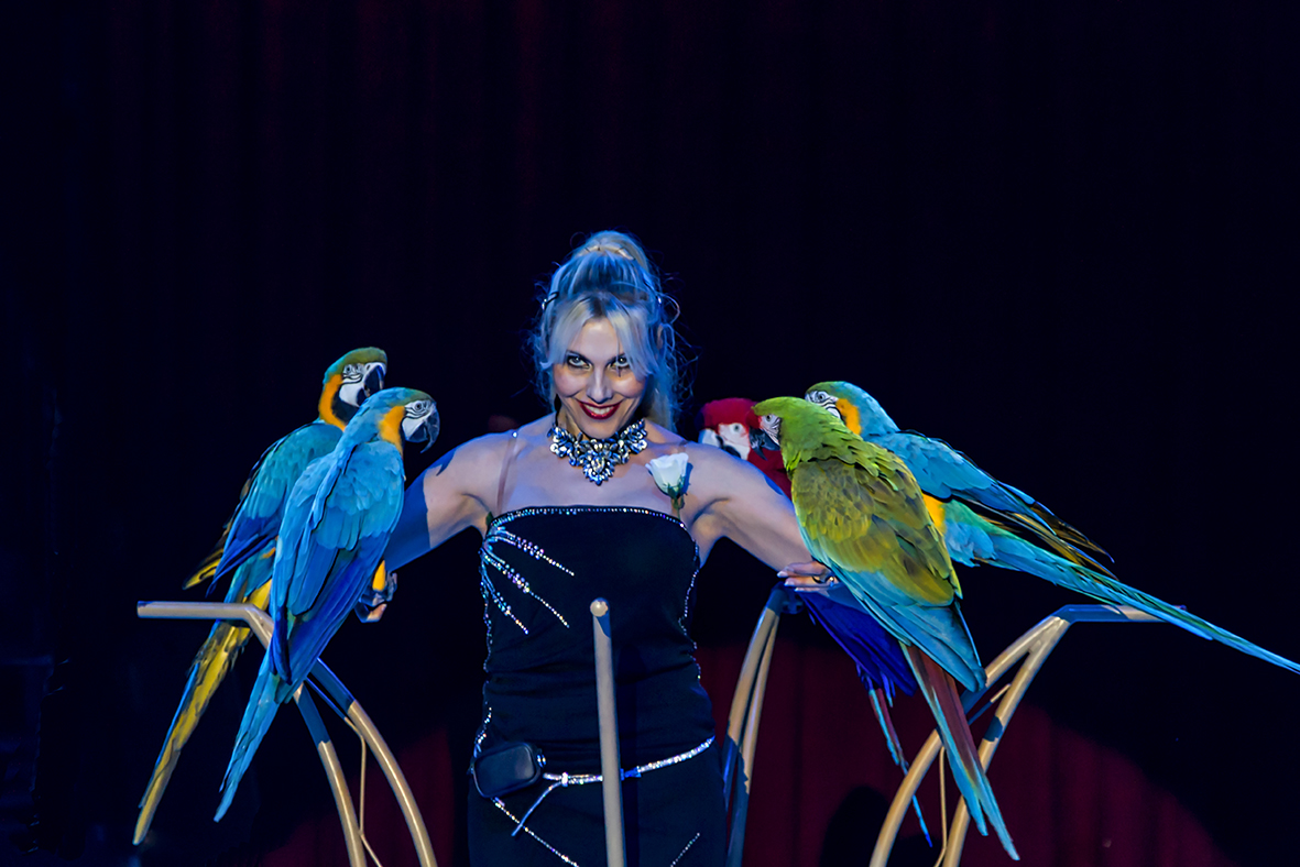 circus: Jean-Pierre JERVA expose son cirque "Le temps d'un regard sur ...