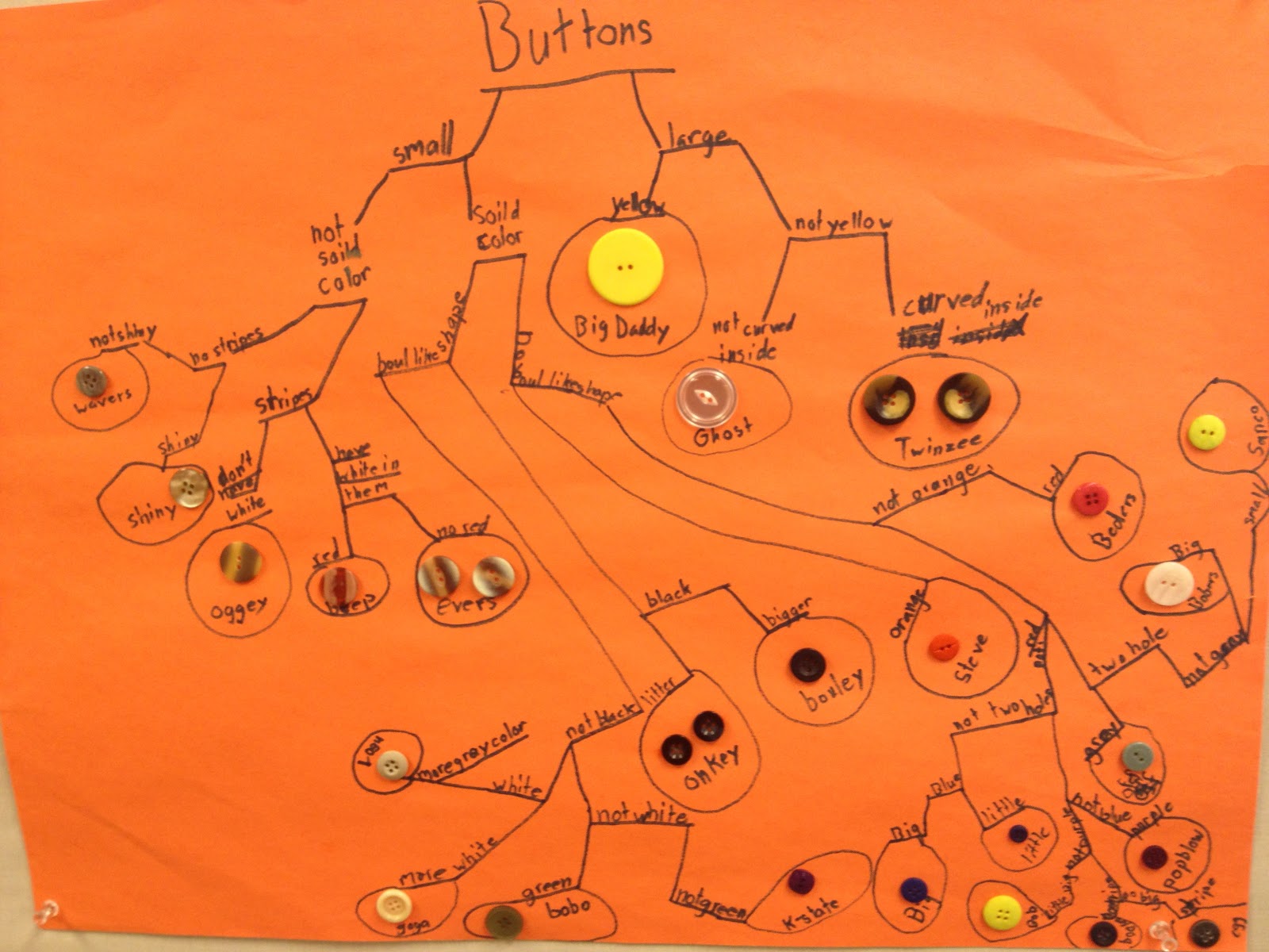 Real Teachers Learn: The Dichotomous Key