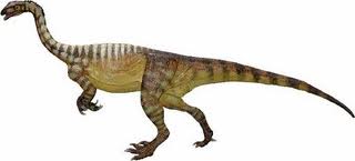 Dinossauros!: Unaysaurus tolentinoi