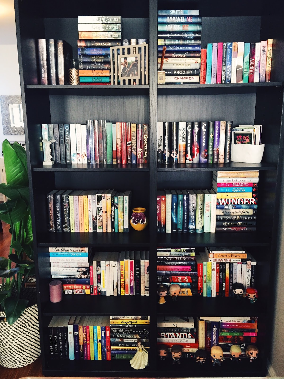 Bookshelf With Ya Books