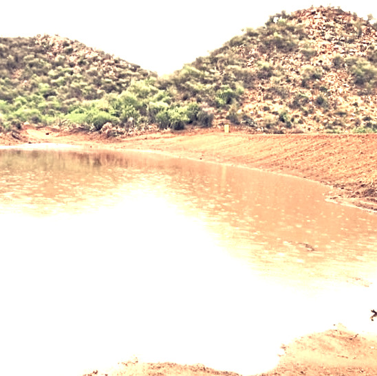 Bansyal conservation reserve khetri