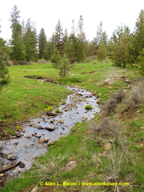 Fagin's Weather World - Hike Washington: KUOW Hike of the Week ...