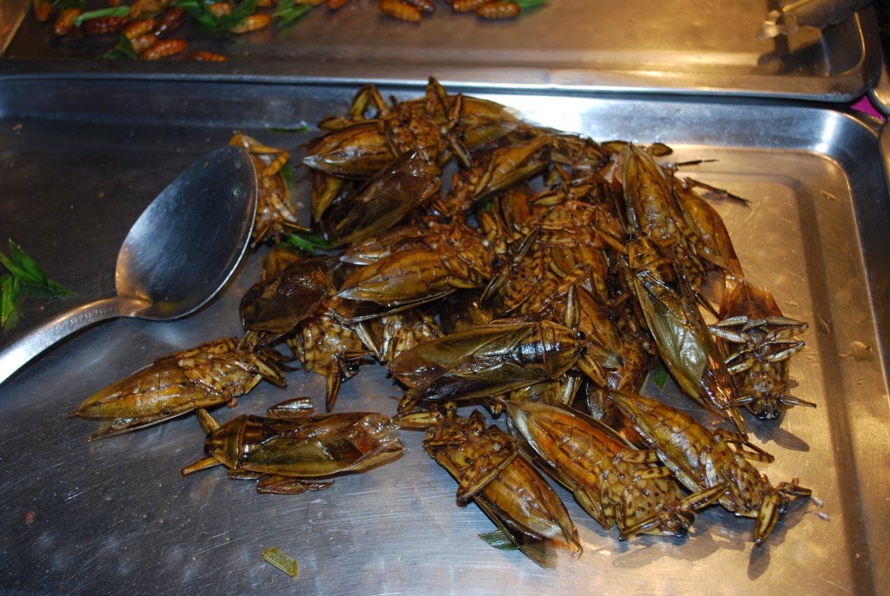 Escape to Siam: Fried Roaches, anyone?? :)