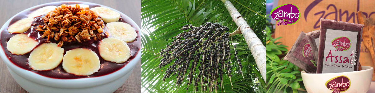 RECETARIO ZAMBÓ AÇAÍ