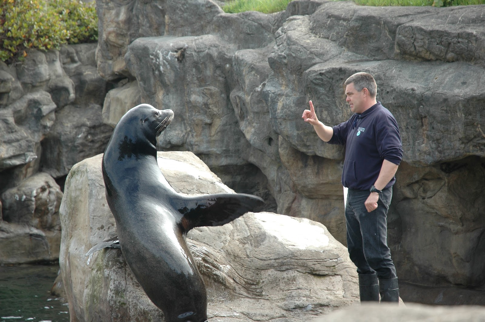 On The Road with Mac and Molly: With Flipper & Brush: Oregon Coast ...
