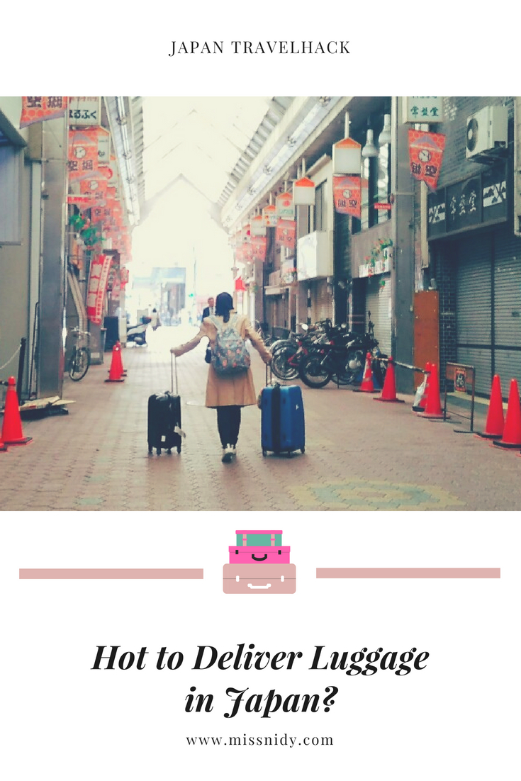 Repot Bawa Koper di Jepang? Delivery Pakai Ta-Q-Bin Aja!