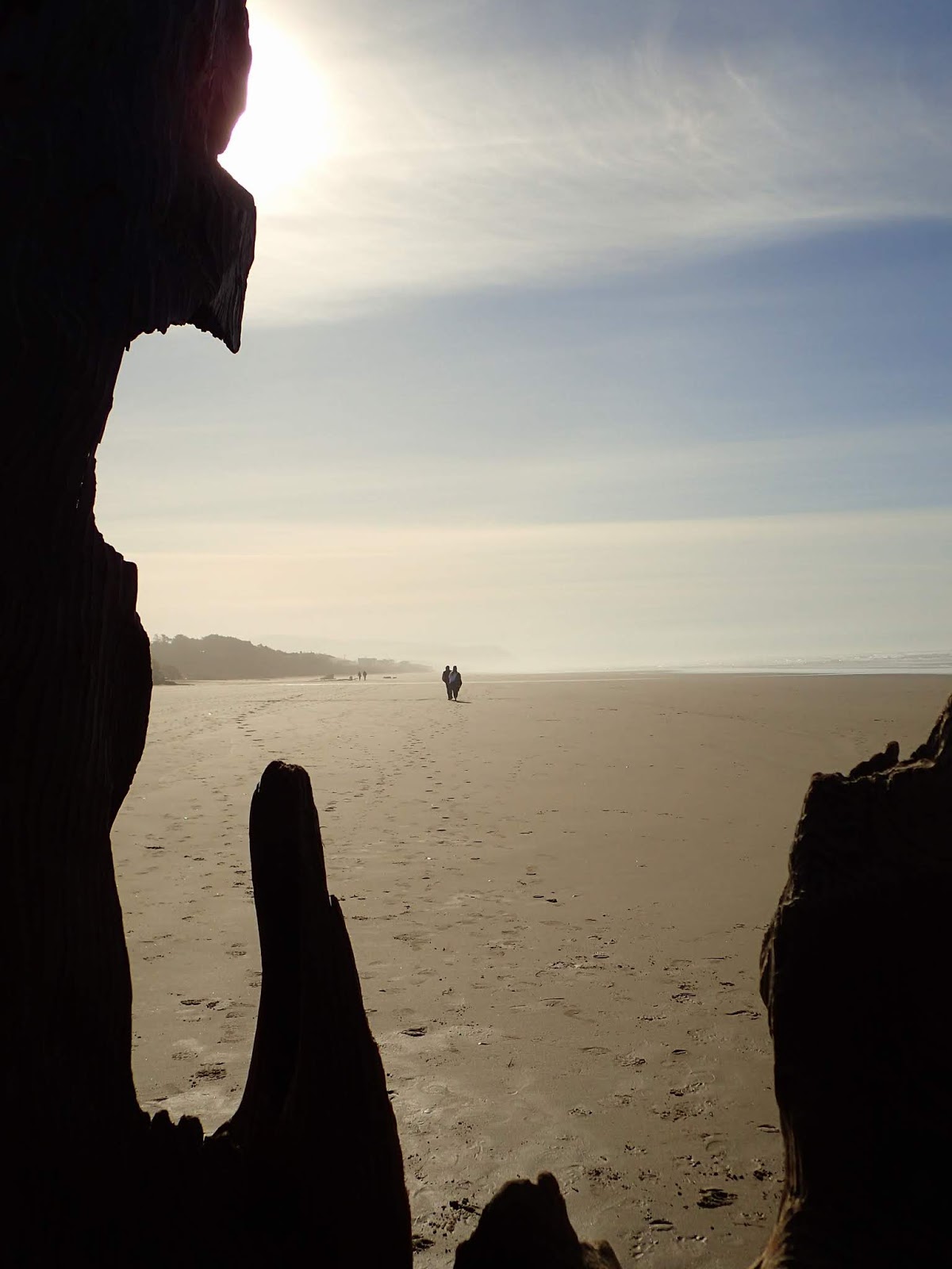 Casing Oregon: Mystery in the Sand: Big Stump Beach