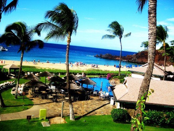 MessyDirtyHair: the only bee ill let sting me....