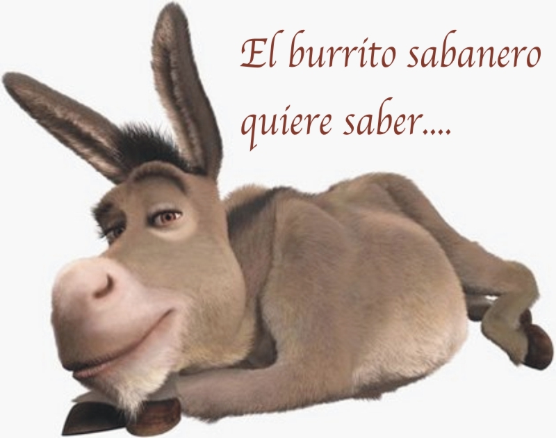 JOSEPH CACERES: BURRADAS JULIOSABALADAS