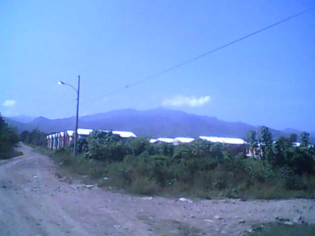 Tocoa Colon: INFORMACIÓN