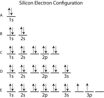 The Biologian: How Do Magnets Work?