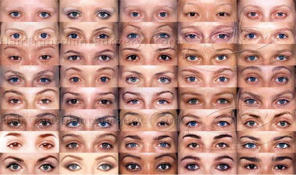 SOPRACCIGLIA LA CORNICE DEL VISO