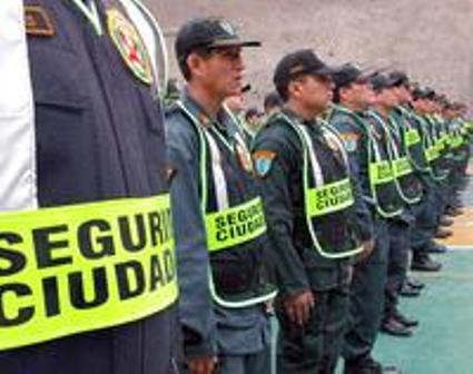 seguridad ciudadana: INTRODUCCIÓN