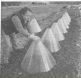 Upland: Solar PyramidsIn The Minibeds