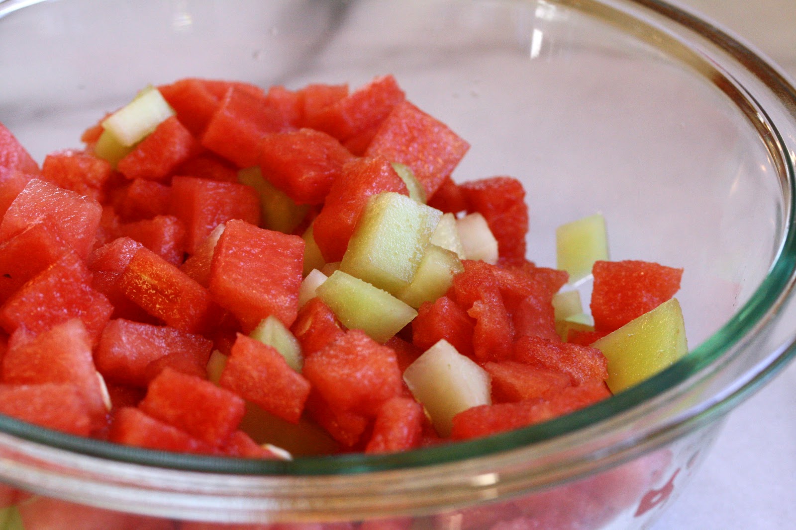Melon Salsa - Saving Room for Dessert