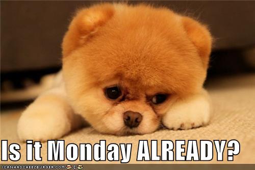 Pretty Woman: Monday already?