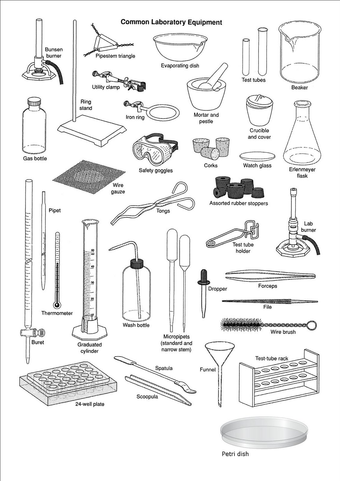 Natural Science ESO: Lab equipment