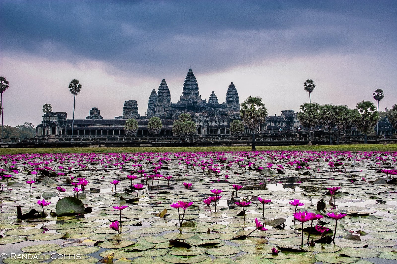 Amazing Places in The World: Cambodia-Angkor Wat Temple-Amazing ancient ...