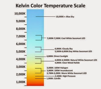 Tiara Nur Malia: SEJARAH