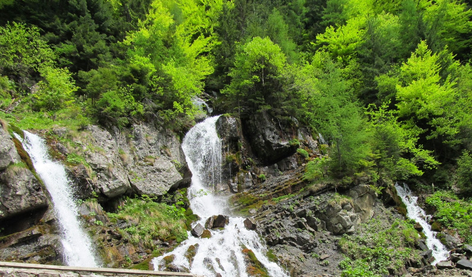 Cascada Valea Spumoasa Busteni