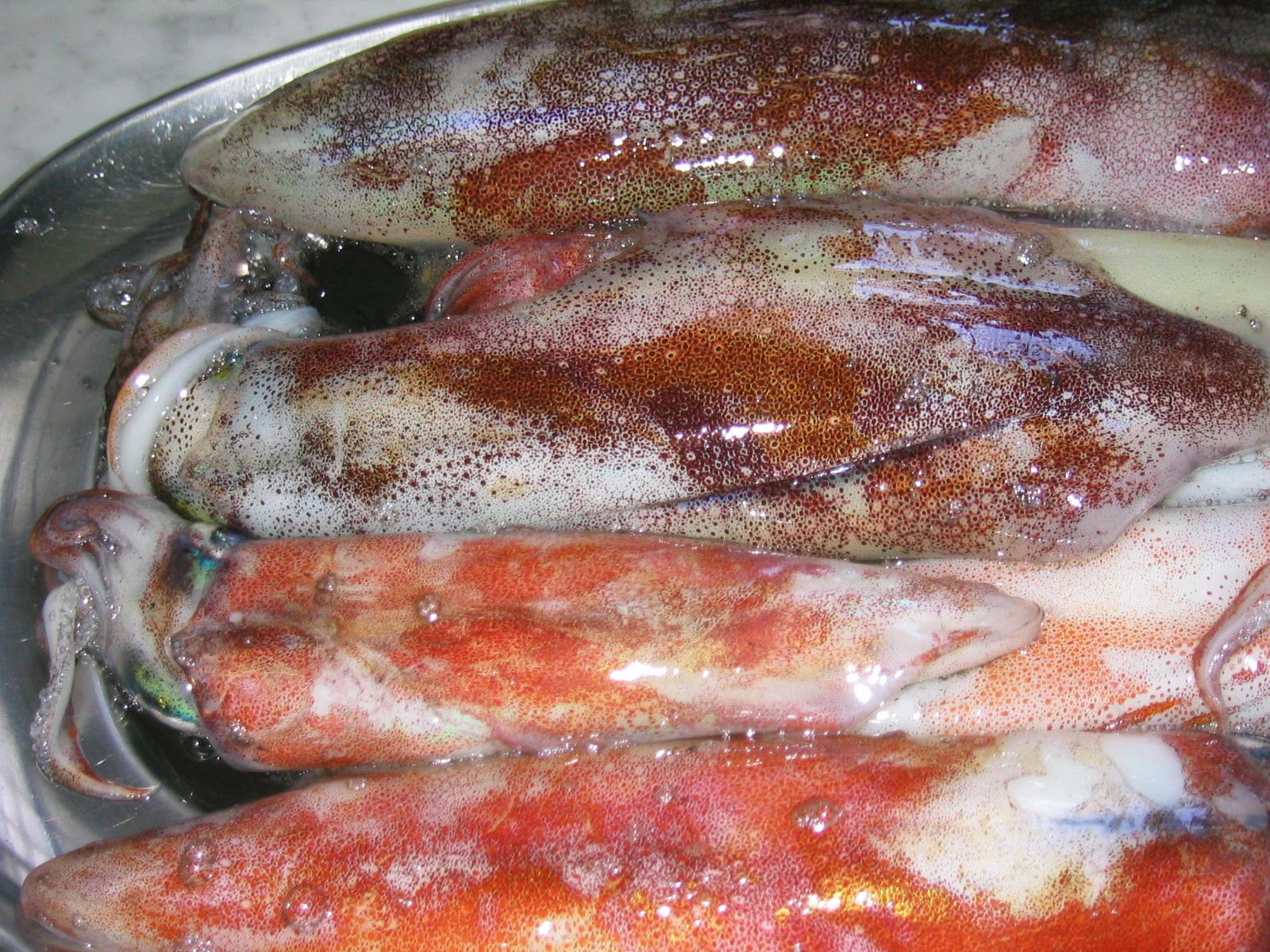 El rincón de Mundín: LOS CEFALÓPODOS: EL CALAMAR, LA JIBIA Y EL PULPO