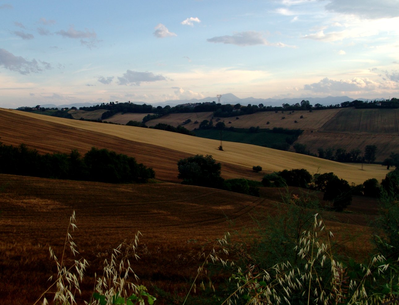 Una Foto al giorno: Campagne verso sera... tornando a casa.