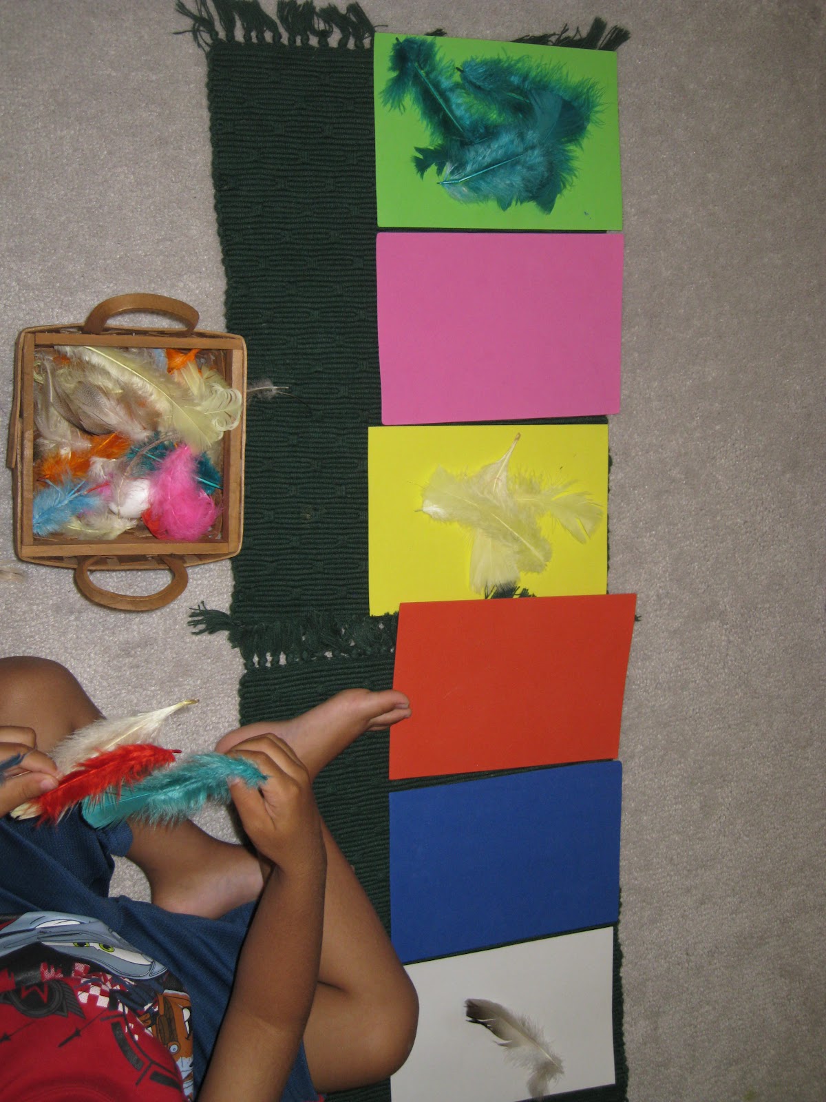 SENSORIAL ACTIVITY IDEA: Feather Fun