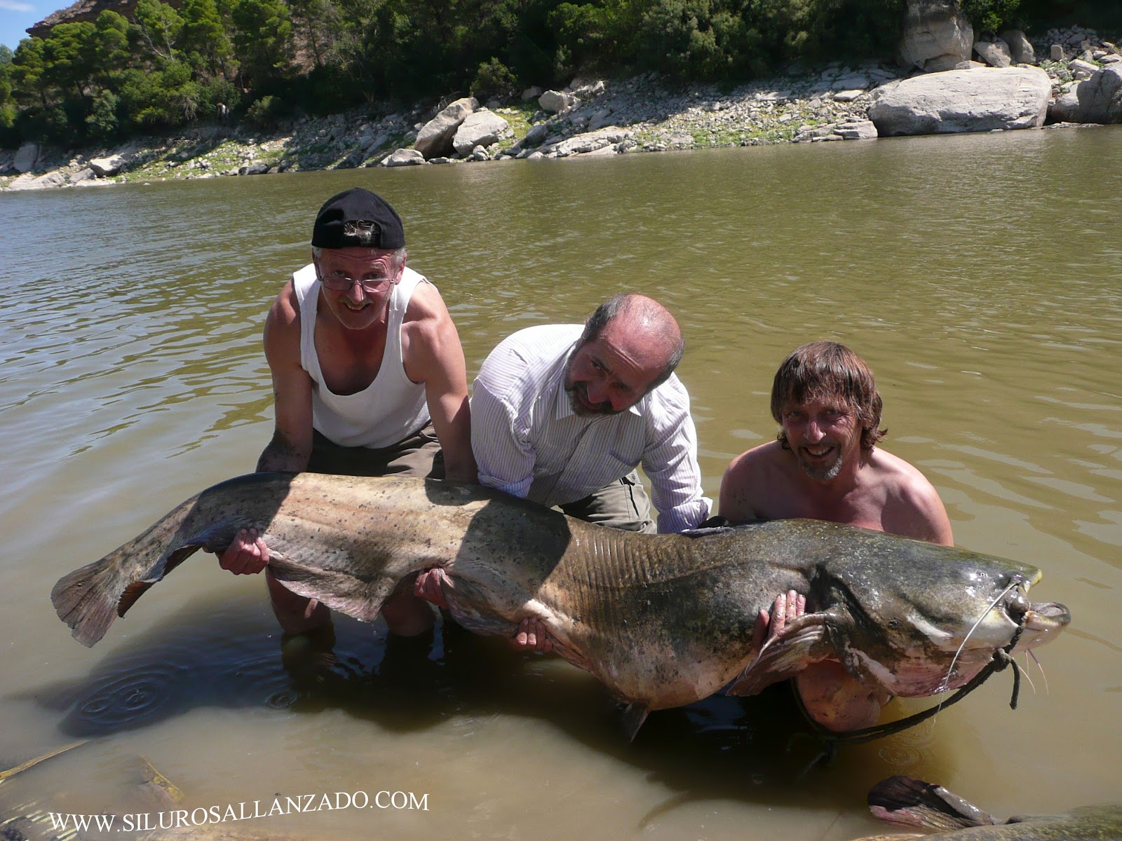 PESCA DEL SILURO EN EL EBRO: SILUROS GIGANTES DEL RÍO EBRO