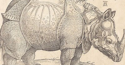 The Presurfer: Albrecht Dürer's The Rhinoceros: The Most Influential ...