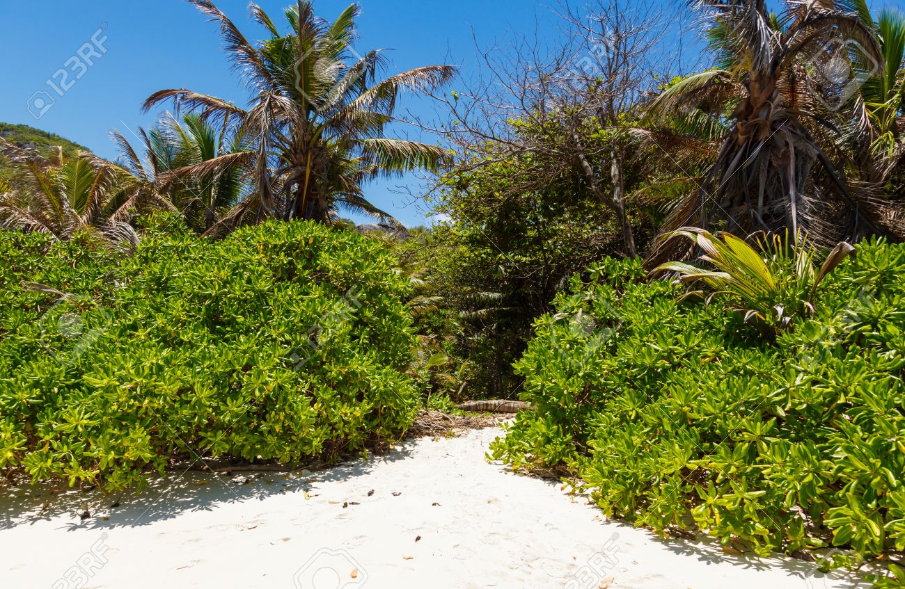 1000 Foot General: Making Jungle Terrain