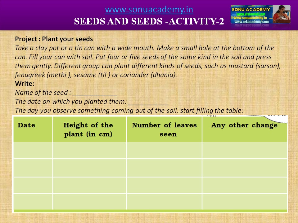 SONU ACADEMY: SEEDS AND SEEDS-ACTIVITY-2