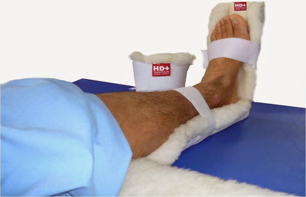 EL CAJON DE LOS CONOCIMIENTOS: FÉRULA