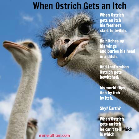 Live Your Poem...: The Ostrich in Love & a Poem