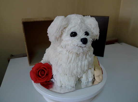 Cake Palette: Maltese Dog Cake