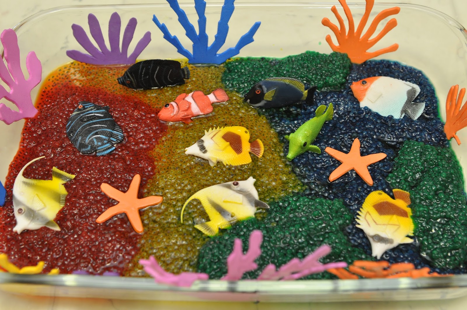 Creative Projects for Kids: Coral Reef Sensory Bin