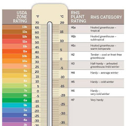 All the Dirt on Gardening