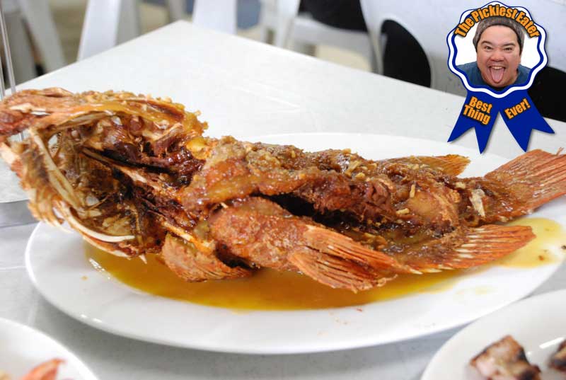 THE PICKIEST EATER IN THE WORLD: HOLD YOUR BREATH, WE'RE GOING TO DAMPA!