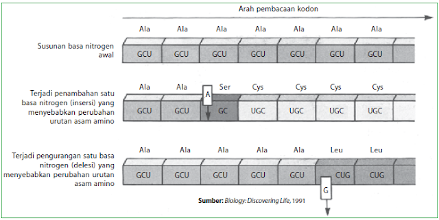 Mutasi Gen (Penggantian Basa Nitrogen, Delesi Dan Insersi Basa Nitrogen ...