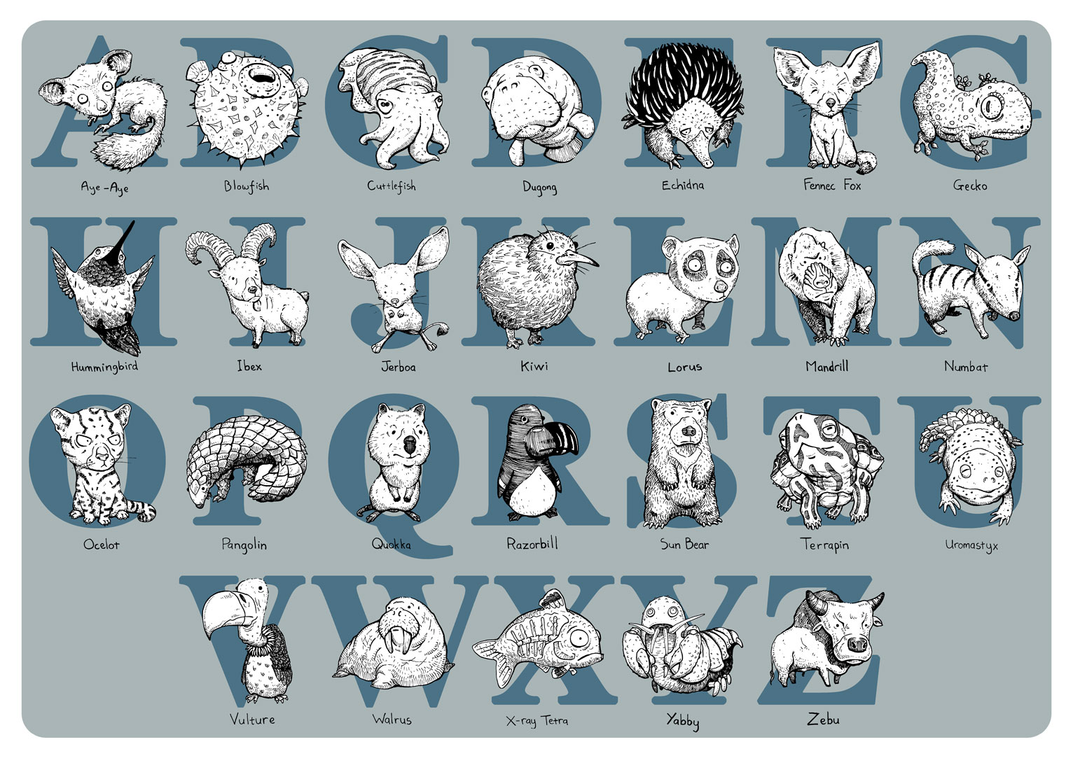 Obscure Animals Alphabet