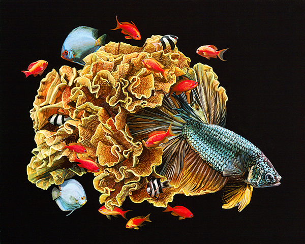 Il mondo di Mary Antony: Lisa Ericson