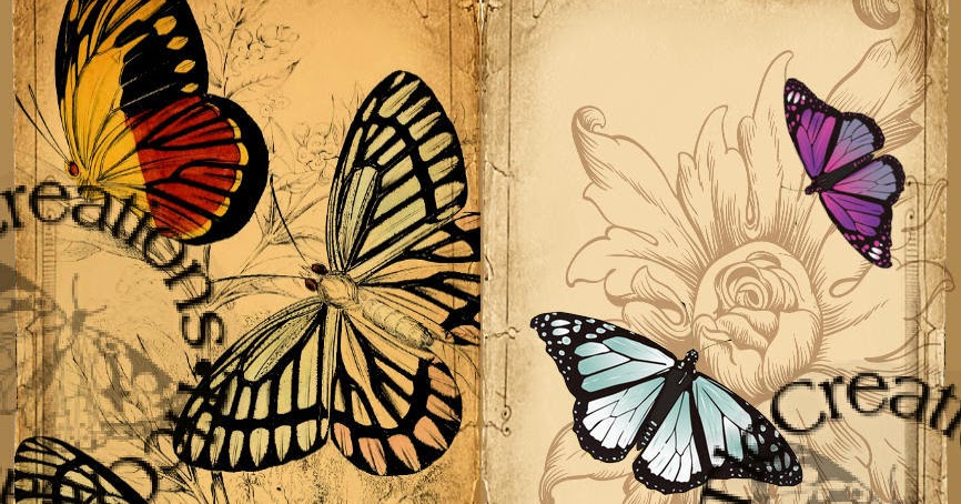 Create with TLC: Never Hide Your Wings....New in Store....