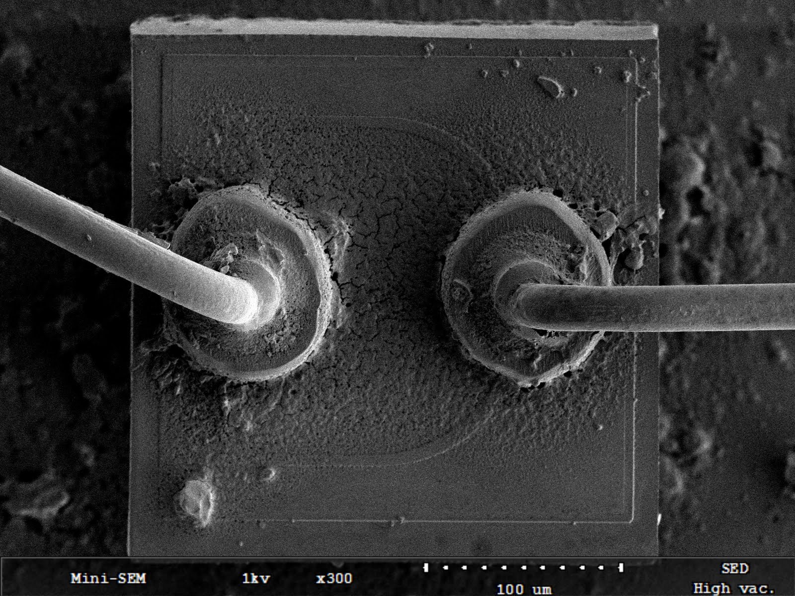 SEC - Scanning Electron Microscope: LED Wire Attachment - SEM Image