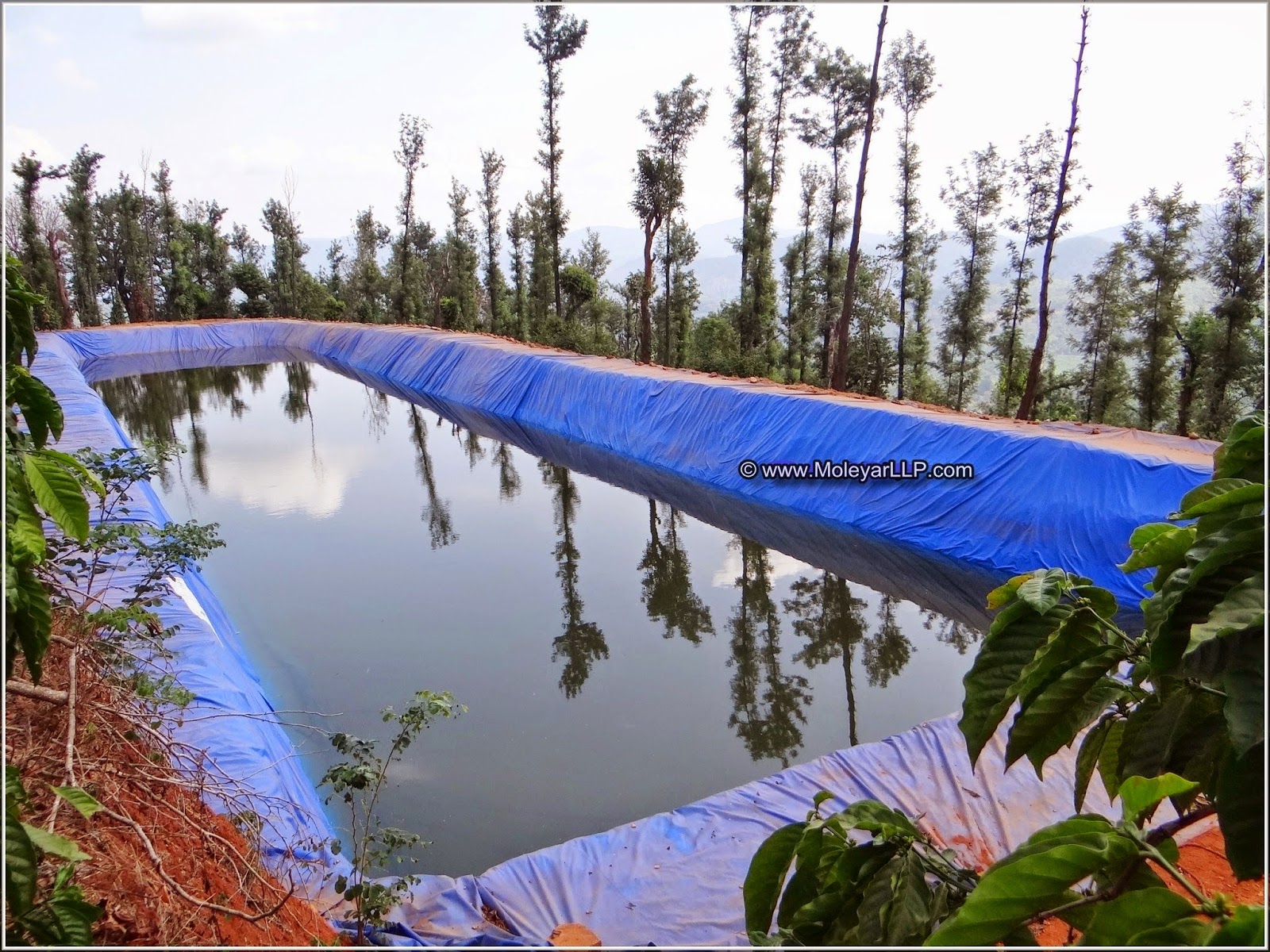 Pond liner in Bangalore, Karnataka