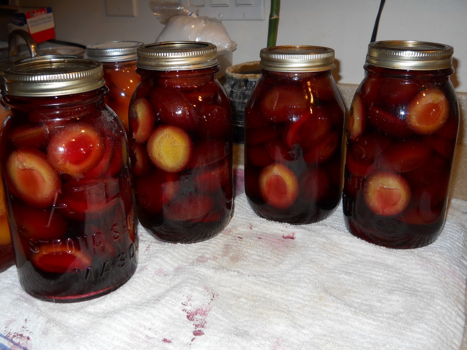 Rich Ideas: SEPTEMBER- Canning Peaches & Prunes