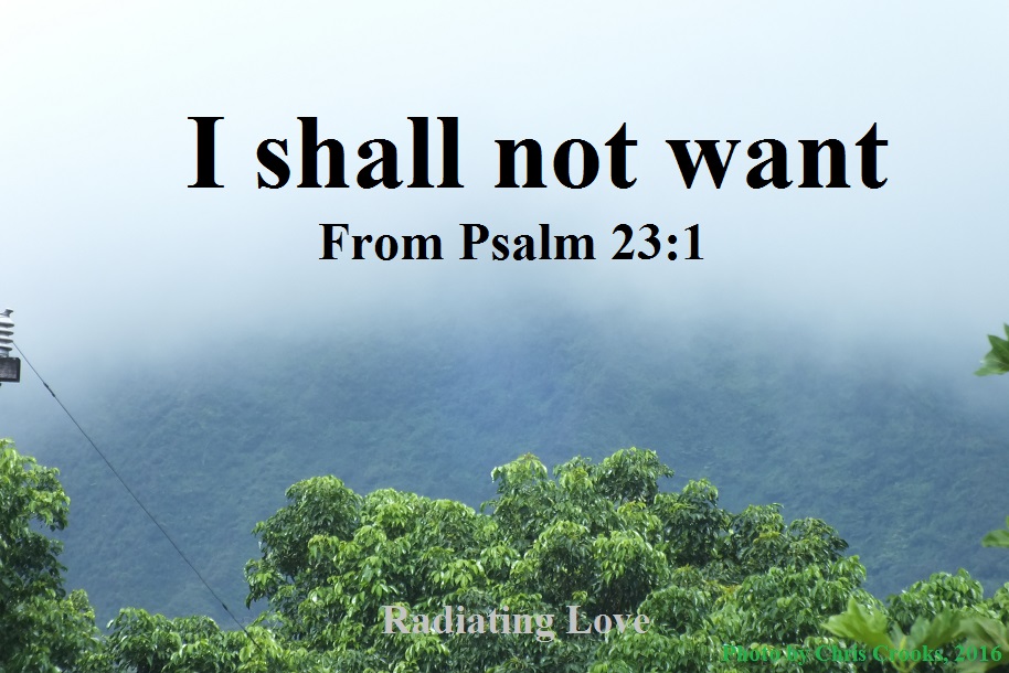 Radiating Love: Shall not want 7-27-2016