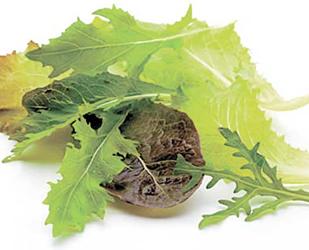 Cocinas y Recetas: Hortalizas de hoja en la dieta