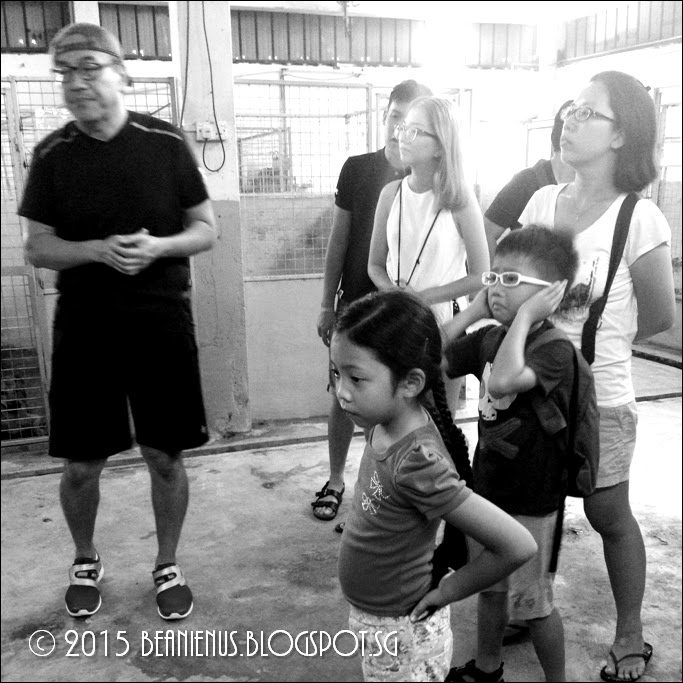 Beanie N Us!: A visit to SOSD Shelter