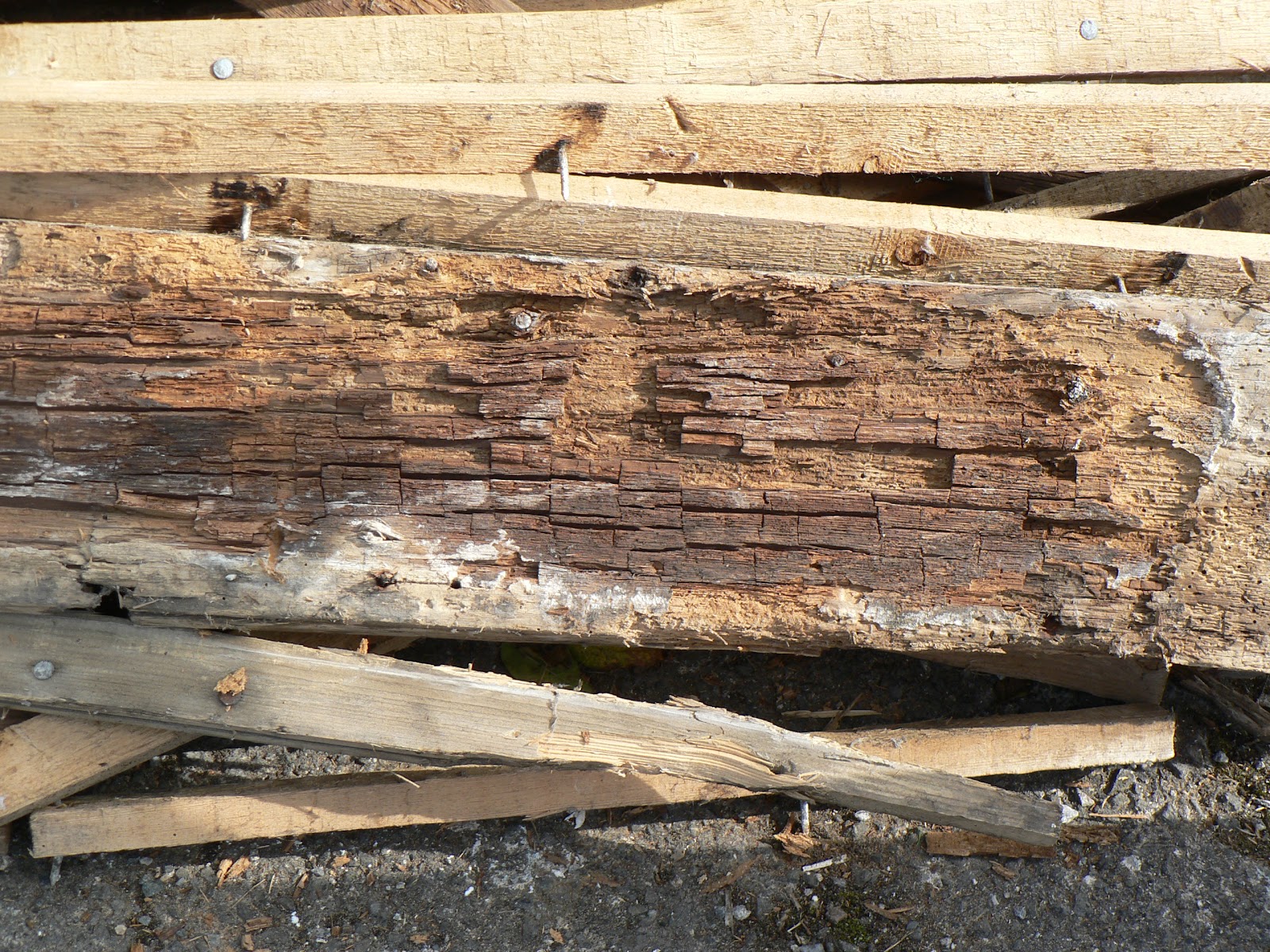 Fascia & Roofing & Home Improvement Specialists : Rotten Wall Plate, We ...