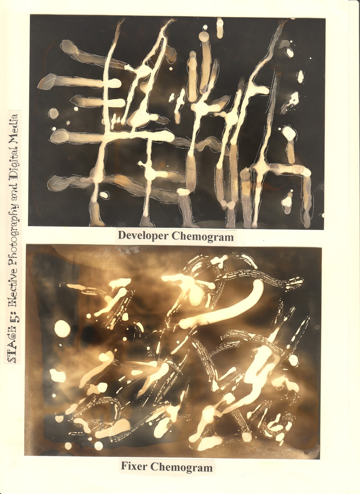 Photograms and Chemograms (Photography)
