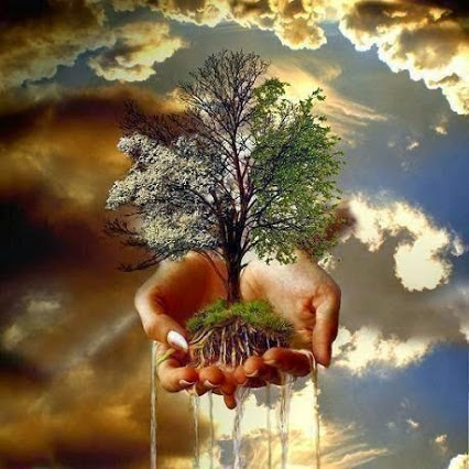 MEDITAÇÃO CRÍSTICA: SEMEAR E COLHER DIARIAMENTE - JOEL GOLDSMITH